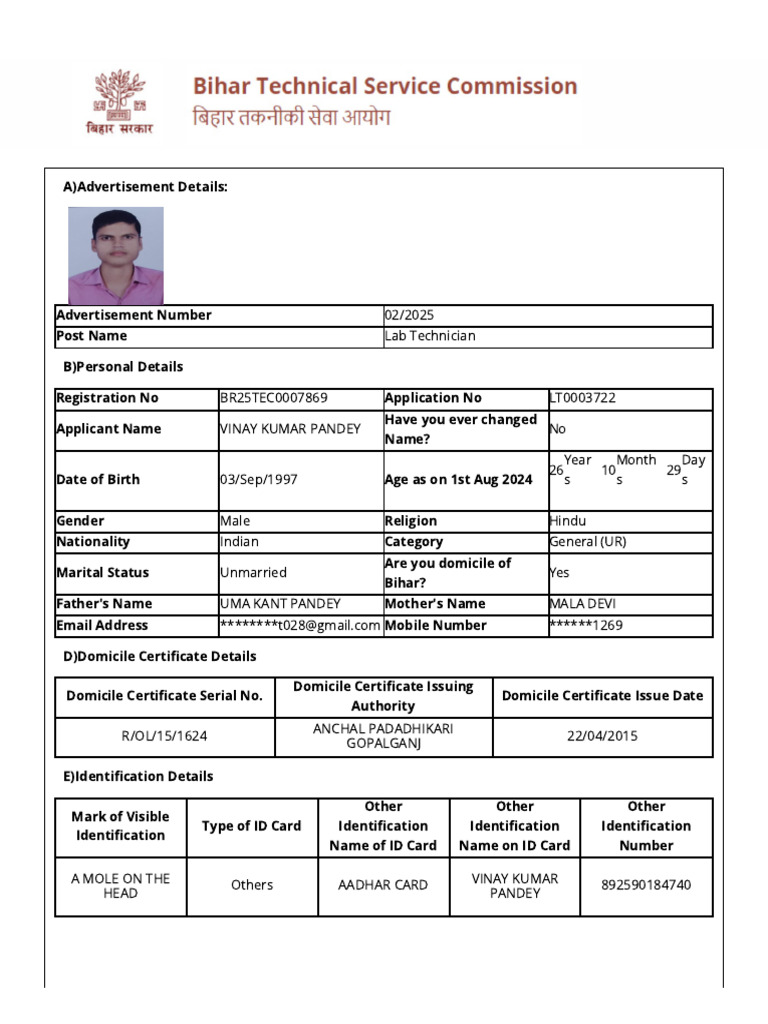 BSEDC Application Form 2025 | PDF