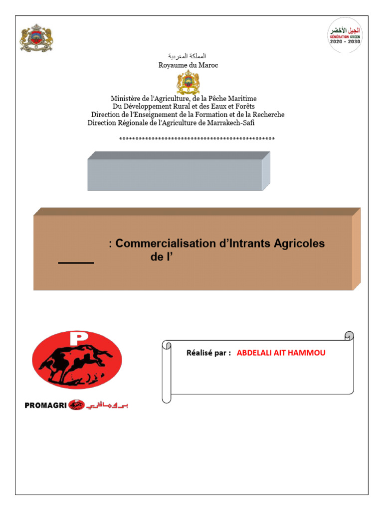Rapport de stage sur Promagri Maroc | PDF | Banques