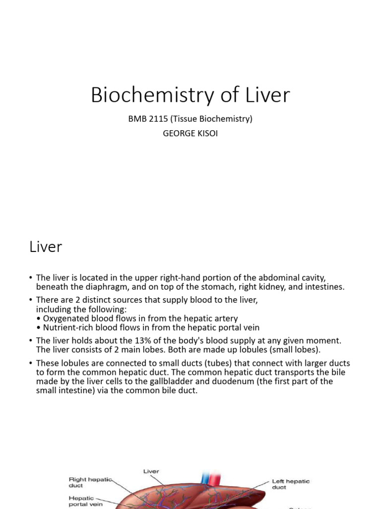 Biochemistry of the Liver[1] | PDF | Liver | Bile