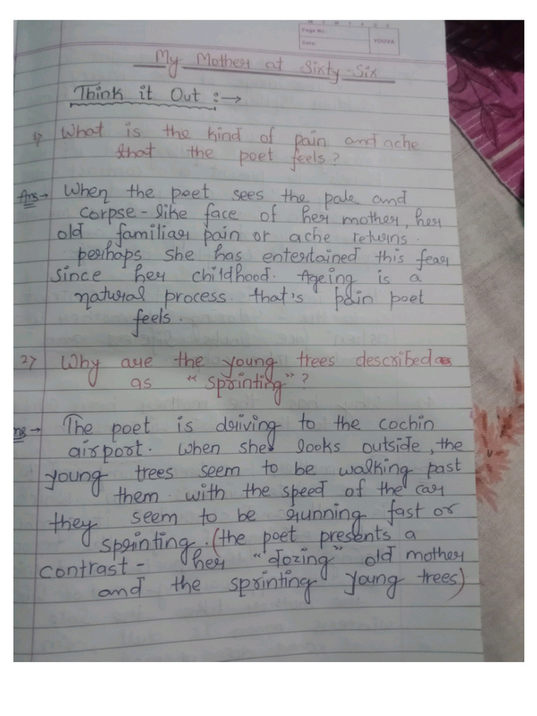 Class Note Class 12 Free | PDF