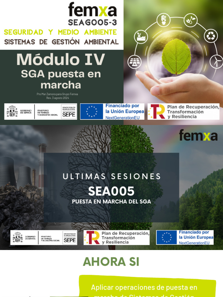 Sga Fases y Estructura | PDF | Planificación | Auditoría