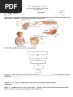 CLASS IX BIOLOGY Chapter 6 - Tissue - Plant Tissue Mind Map | PDF