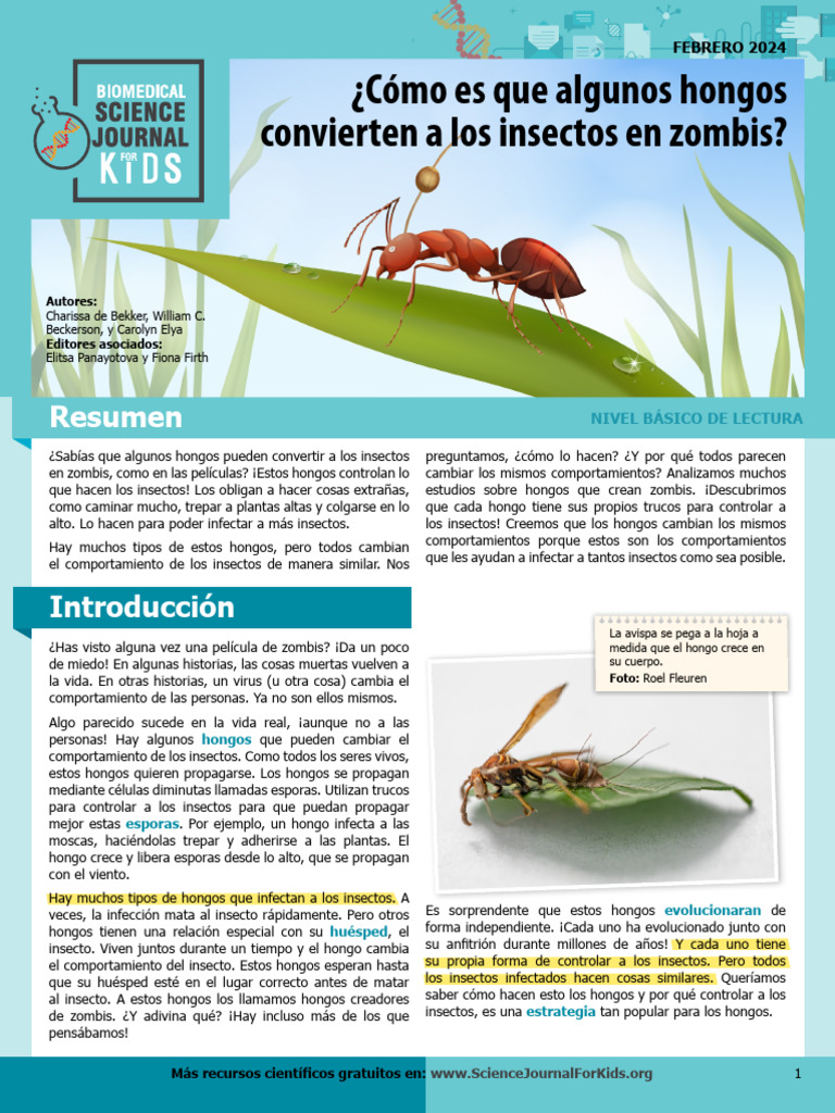 ¿Cómo Es Que Algunos Hongos Convierten A Los Insectos en Zombis? | PDF ...