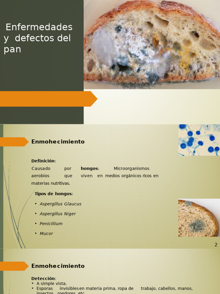Enfermedades y Prevención del Pan | PDF | Panes