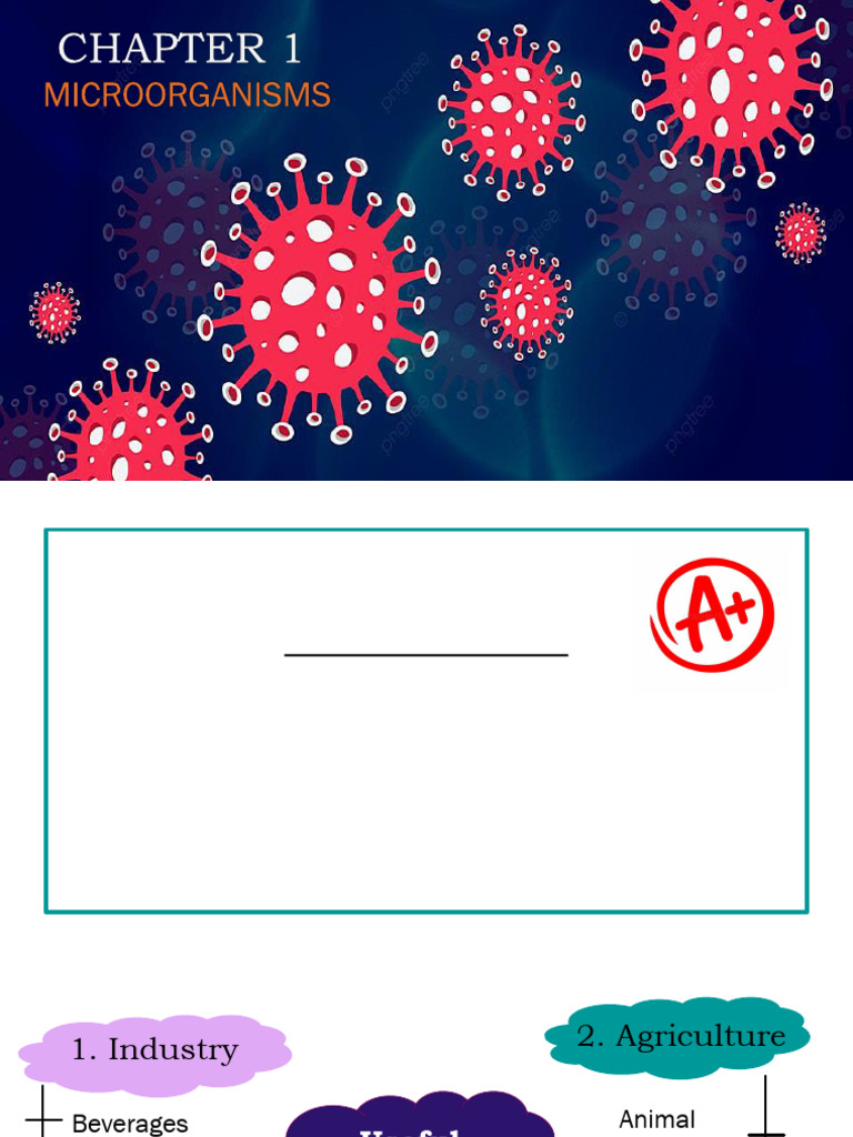 1.2 Useful Microorganisms | PDF | Probiotic | Bacteria