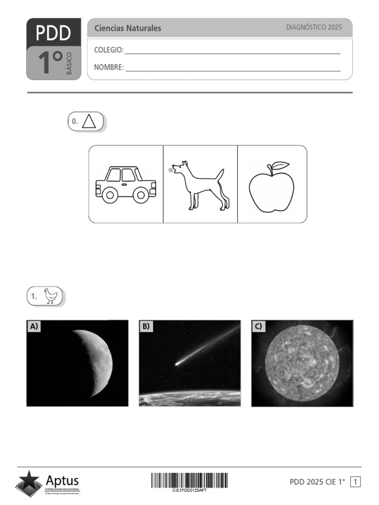 PDD - 2025 - CIE - 1 Diagnostico de Ciencias Naturales | PDF