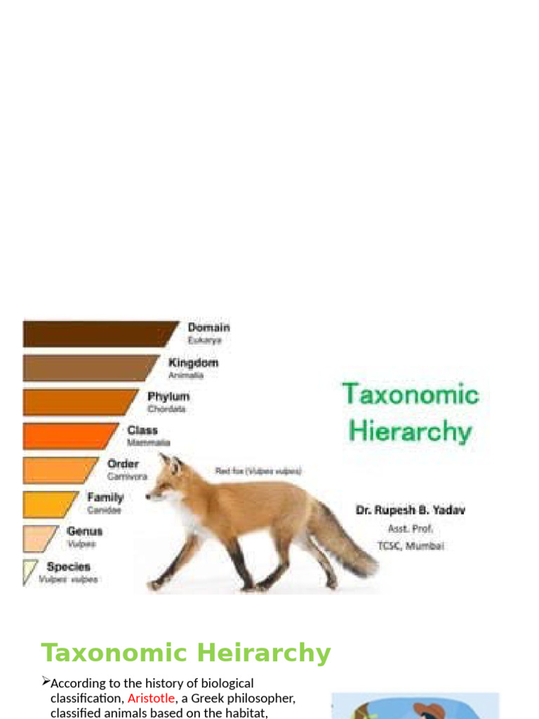 Taxonomic Heirarchy | PDF