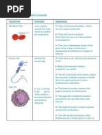 Specialised Animal Cells - Living Organisms - KS3 Biology - BBC ...