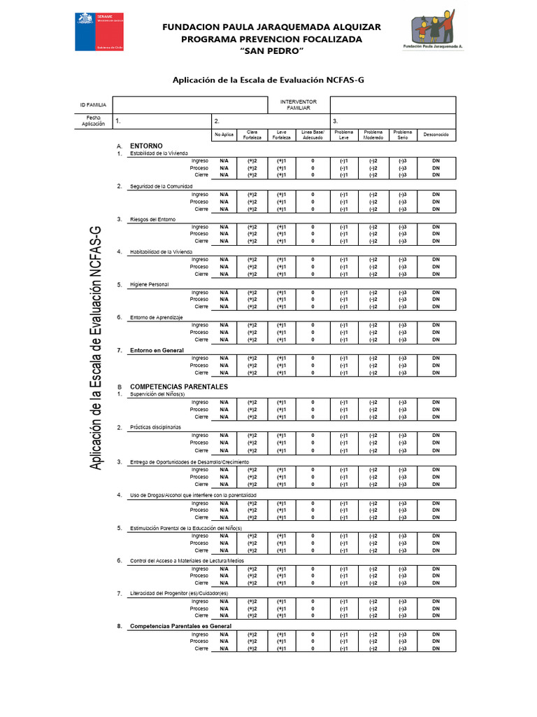 Plantilla Aplicación NCFAS-G | PDF | Ciencias del comportamiento | Sicología