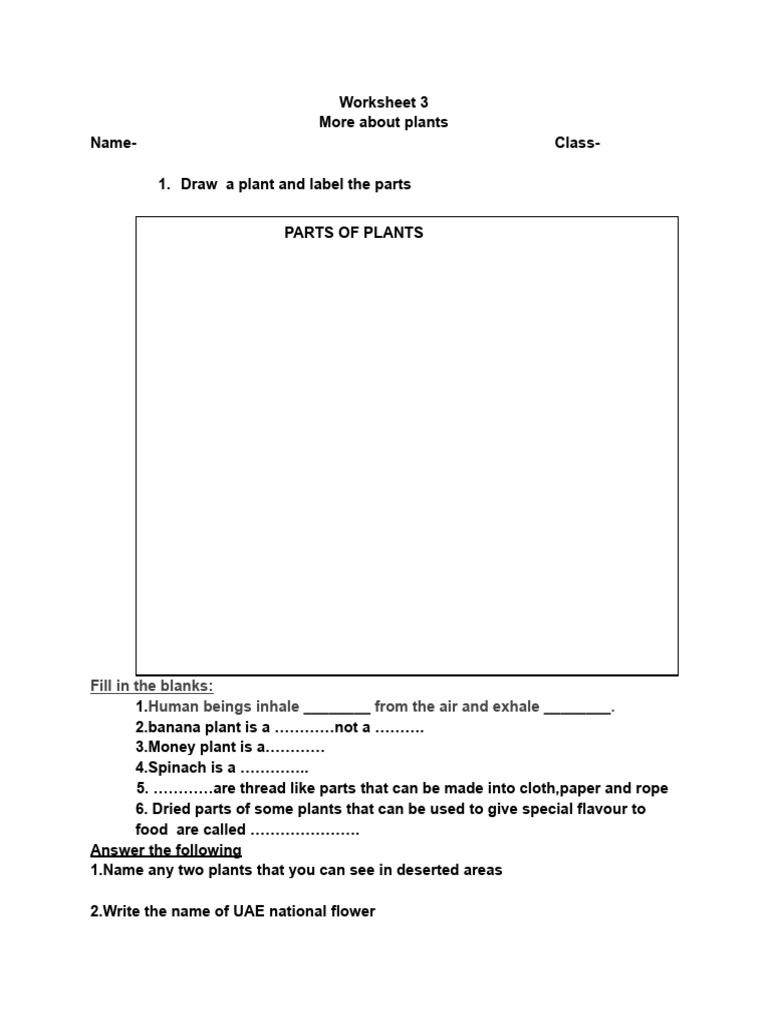 Worksheet 3 More About Plants | PDF