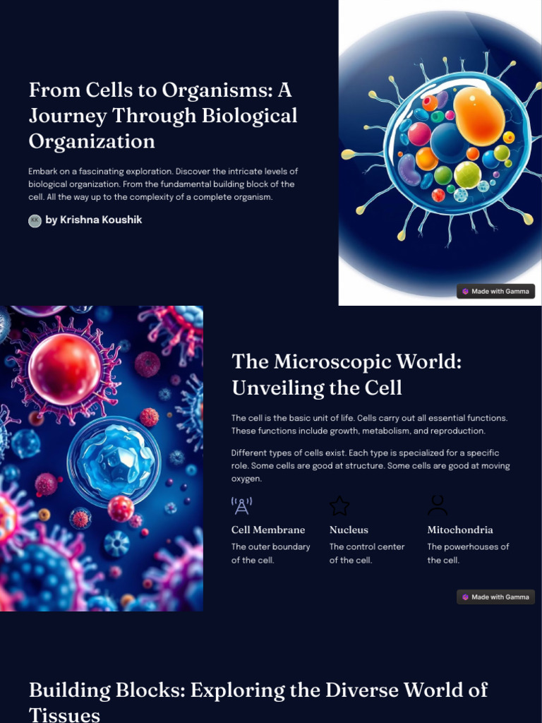 From Cells To Organisms A Journey Through Biological Organization | PDF ...
