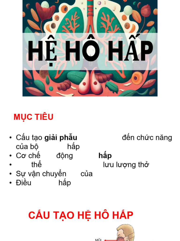 He Ho Hap 27feb25 | PDF