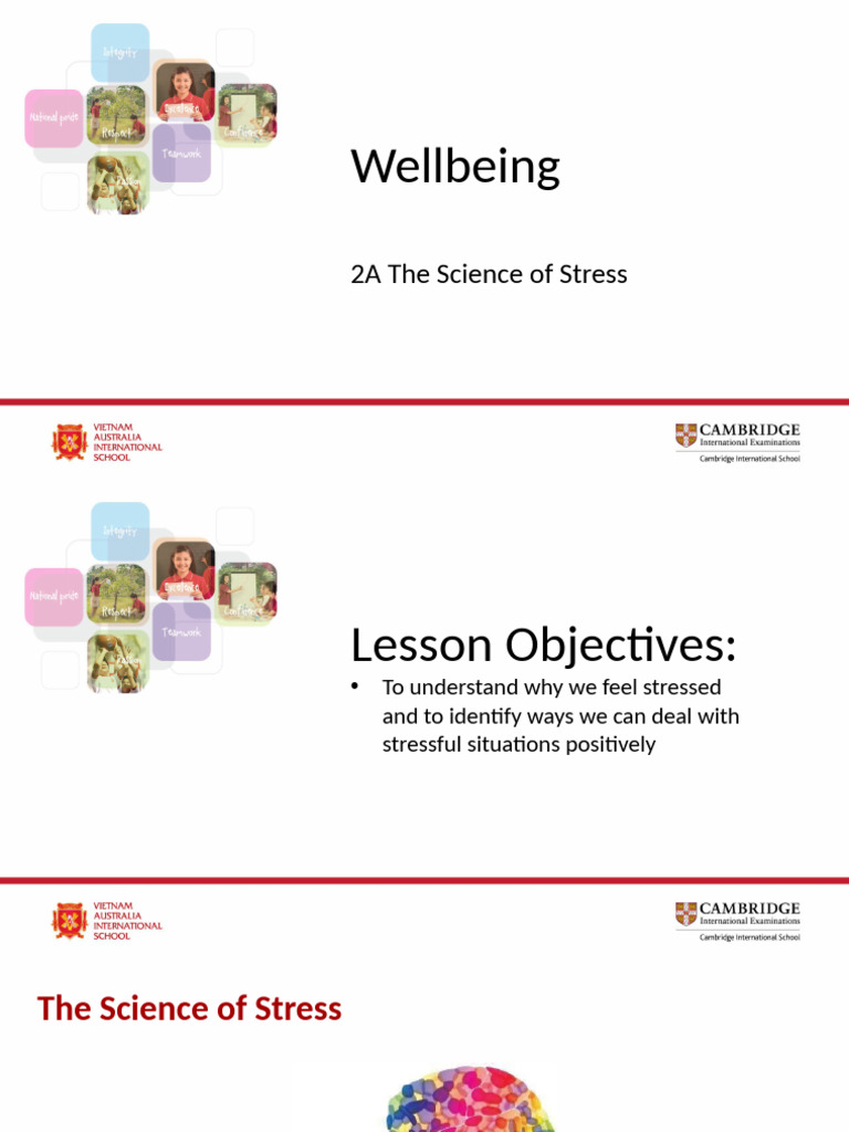 Understanding Stress and Its Effects | PDF | Stress (Biology) | Human ...