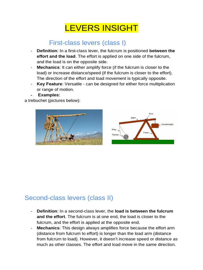 Levers Insight | PDF