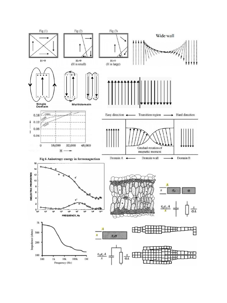PHY SEM 1 ASSIGN 1 AND 2 | PDF