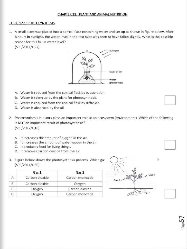 photosynthesis exercise | PDF