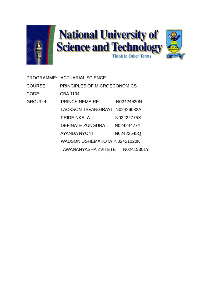 Ecoz ACTUARIAL Group 4 Presentation | PDF | Utility | Marginal Utility