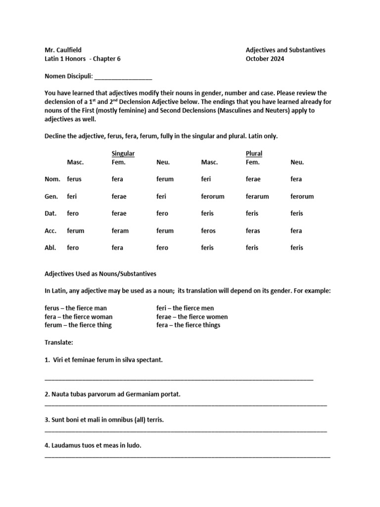 Latin Adjectives and Substantives Guide | PDF