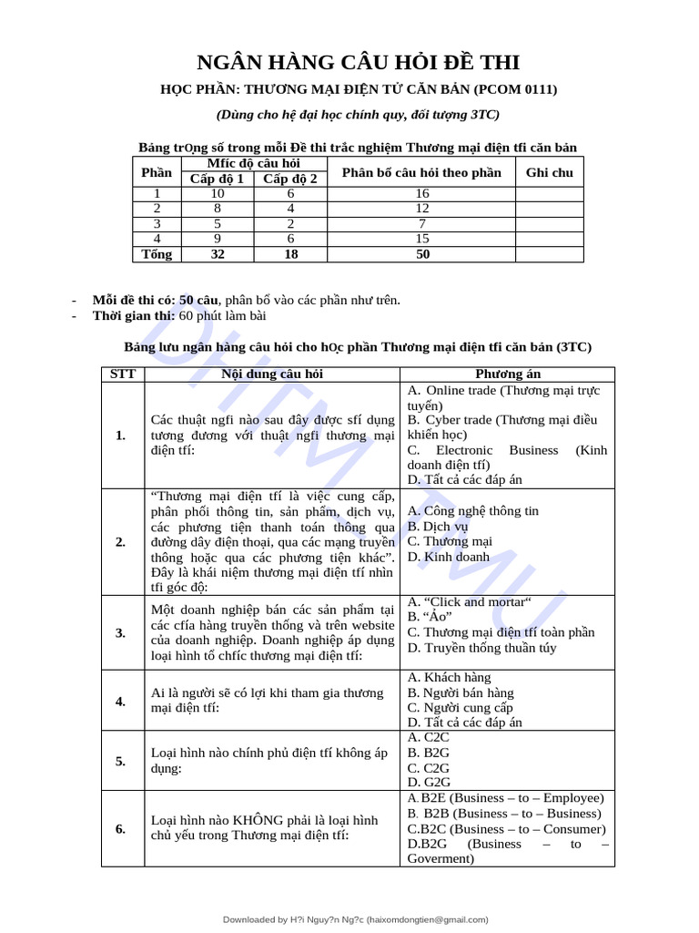 Đề Cương TMDT | PDF