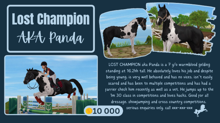 Lost Champion Panda | PDF