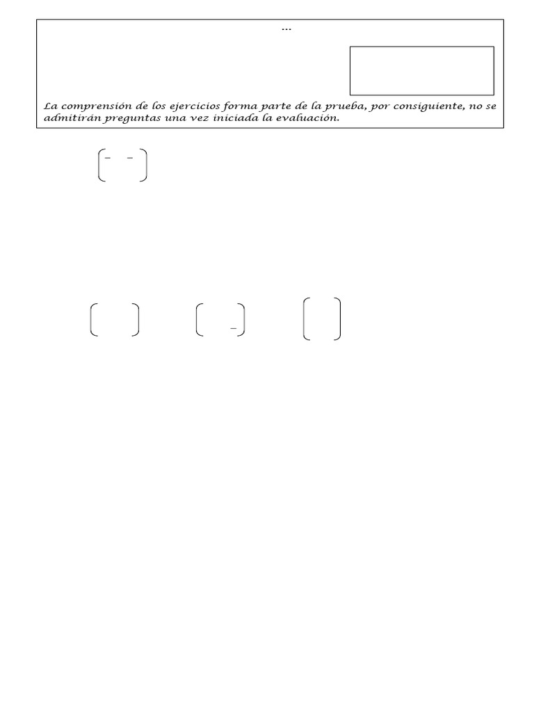 Prueba Formativa - Matrices | PDF
