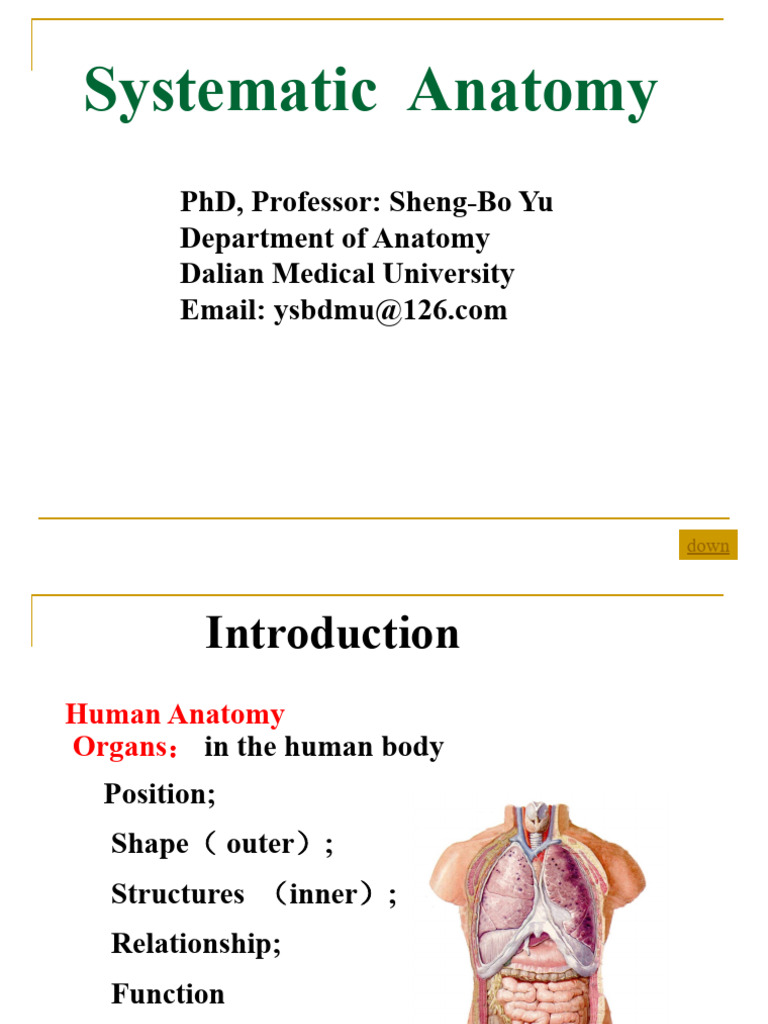 Systematic Anatomy: PHD, Professor: Sheng-Bo Yu Department of Anatomy ...
