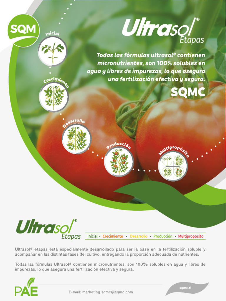 Optimizado 2000310 Ultrasol Etapas Producto Soluble (1) | PDF