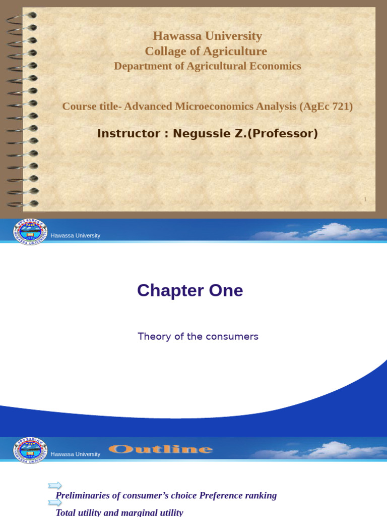 Advanced Microeconomics Cha1-6 | PDF | Utility | Production Function