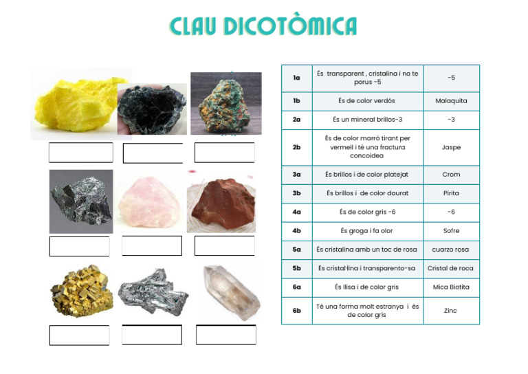 Monsters Dichotomous Key Digital Worksheet in Colourful Hand drawn ...