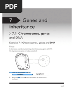 Cambridge IGCSE 0653 Combined Science Syllabus For Examination in 2025 ...