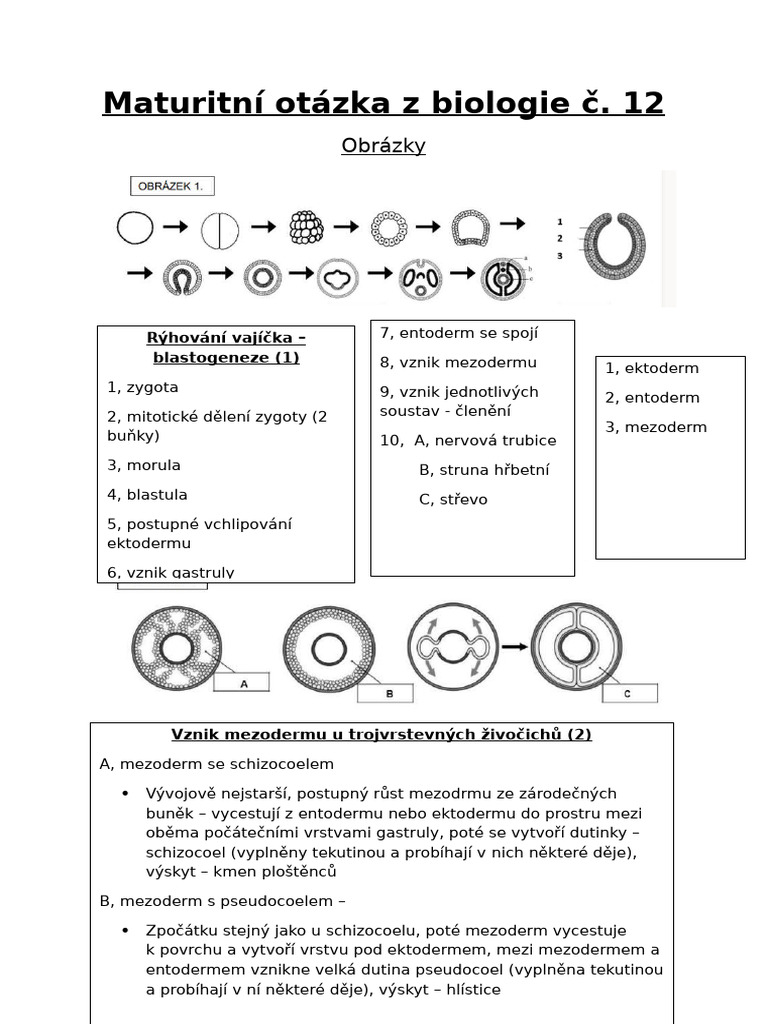 Mobio 12 | PDF