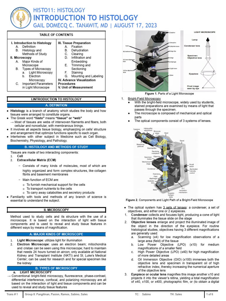 Timeline of Microscopy Evolution | PDF | Histology | Microscope