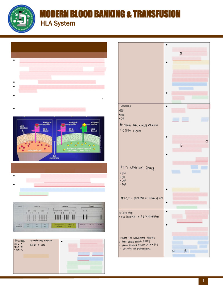 Hla System | PDF | Major Histocompatibility Complex | Transplant Rejection