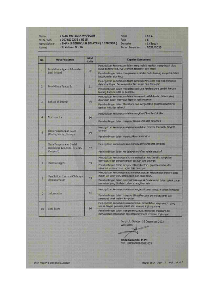Raport 1-5 Compressed | PDF