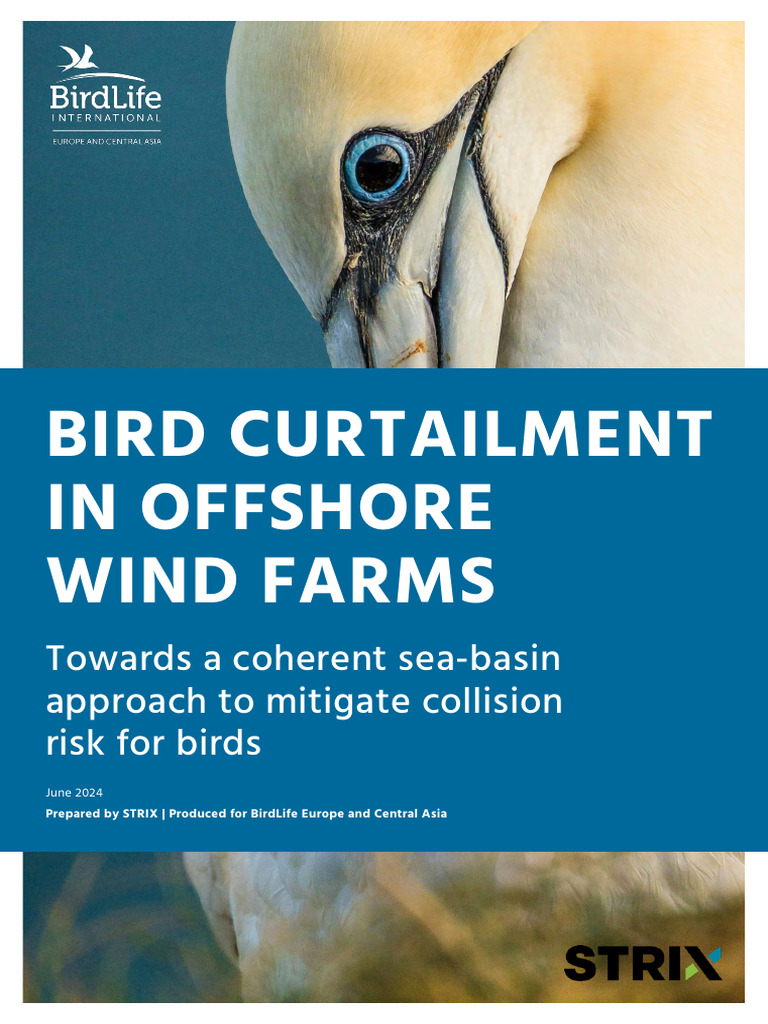Curtailment Report Digital Spreads | PDF | Offshore Wind Power | Wind Farm