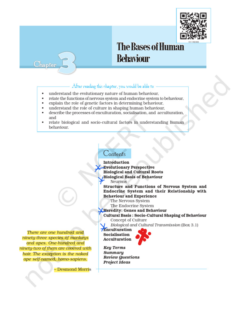 The Bases of Human Behavior | PDF | Nervous System | Neuron