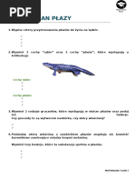 Anatomia Swini Atlas Interaktywny | PDF