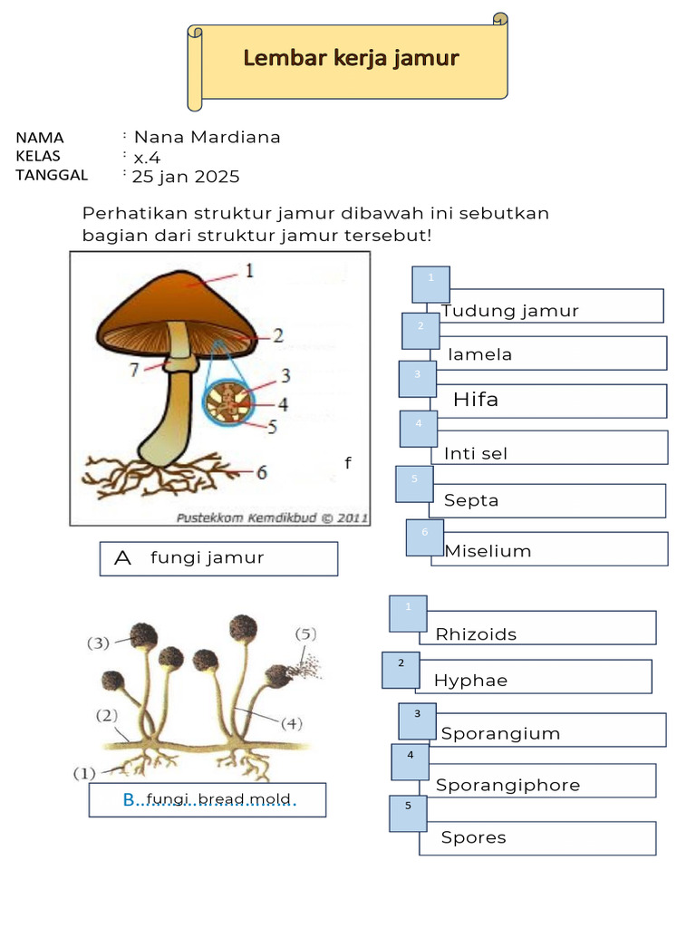 LKPD Jamur Ok PDF | PDF