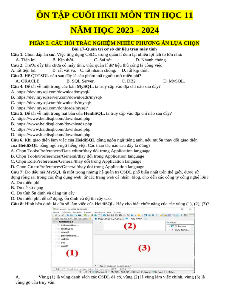 De Cuong On Tap Hkii Tin 11 | PDF