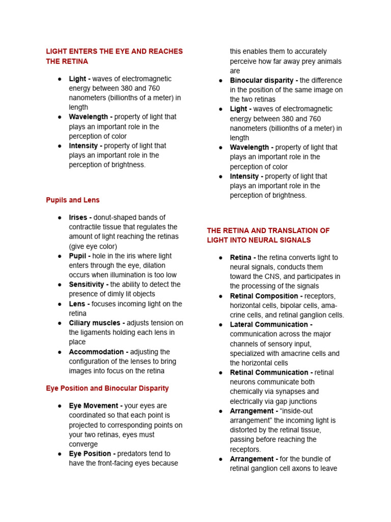 Chapter 6 The Visual System | PDF | Color | Retina