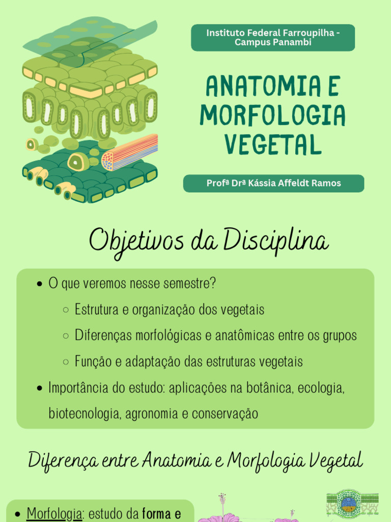 Anatomia e Morfologia Vegetal | PDF | Raiz | Folha