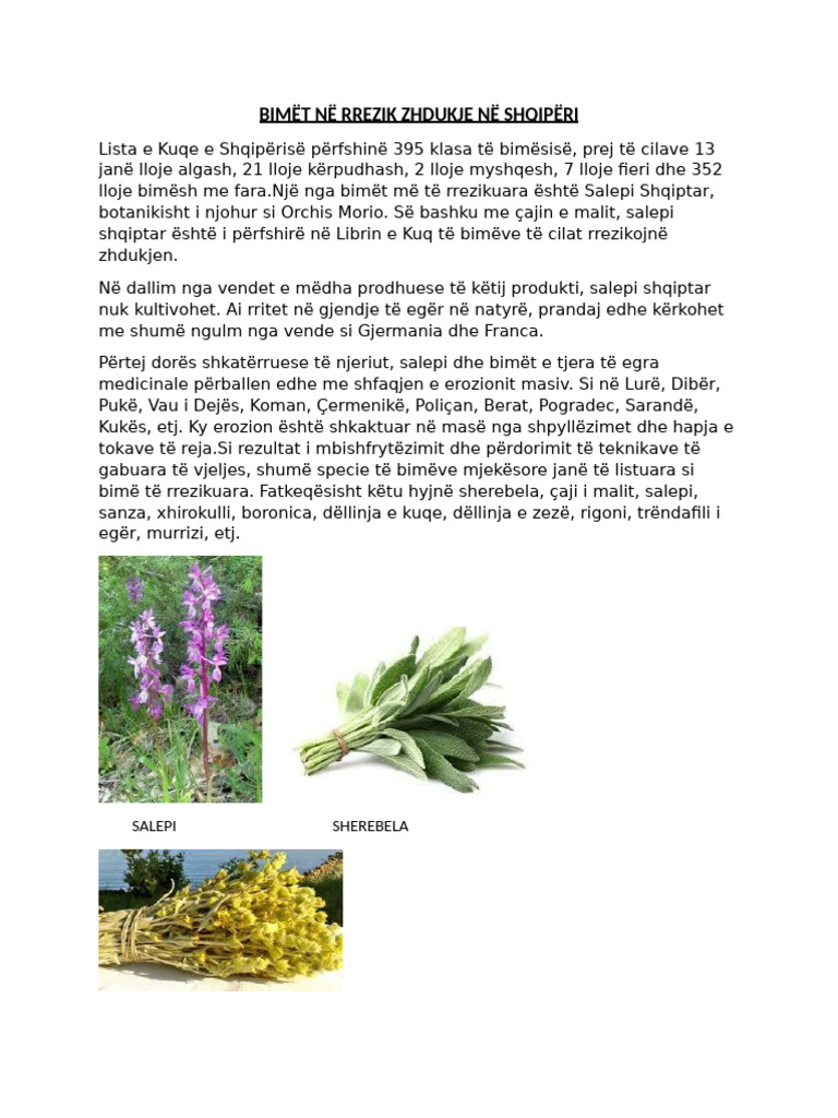 Bimet Ne Rrezik Zhdukje Ne Shqiperi | PDF