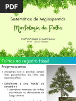 Morfologia e Tipos de Folhas | PDF | Folha | Plantas