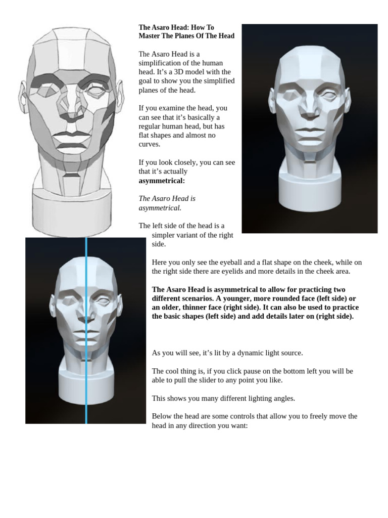 The Asaro Head | PDF | Shadow | Cognitive Science