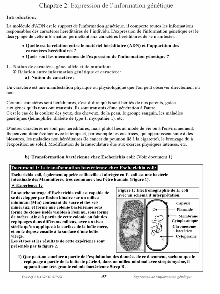 Cours-Unit2-2 1 BAC | PDF