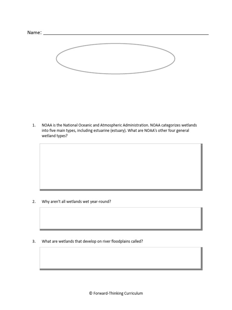 Dynamic Wetlands Worksheet | PDF | Wetland | Estuary