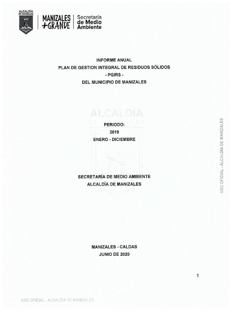 Informe PGIRS 2019 1 | PDF