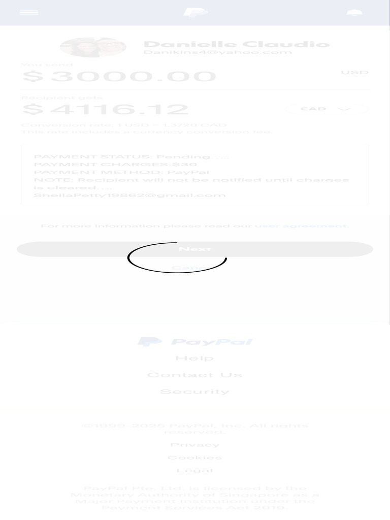 PayPal Currency Conversion Details | PDF