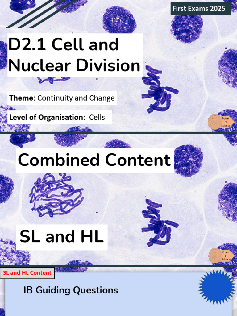 D2.1 Cell and Nuclear Division - HL PPT | PDF | Meiosis | Mitosis