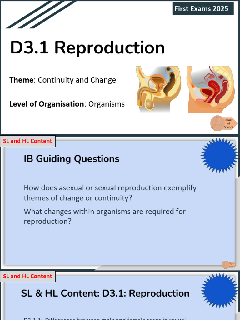 Understanding Reproduction in Organisms | PDF | Menstrual Cycle ...